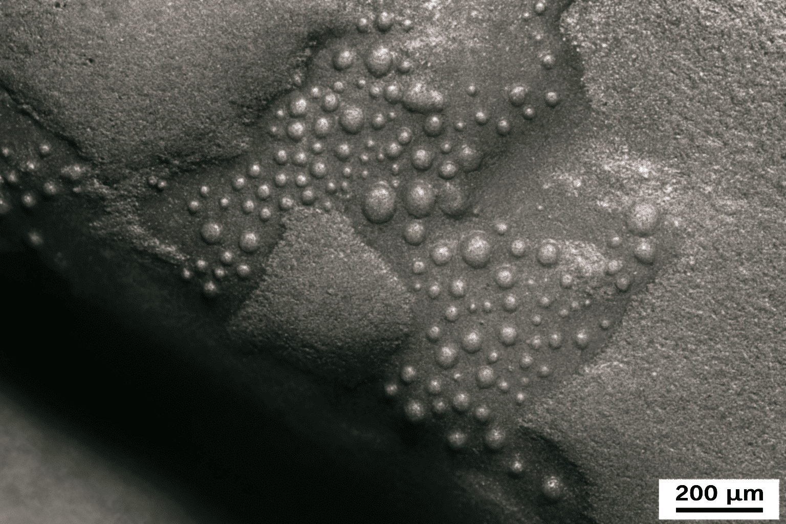 Coating Craters | Analysis | ASO Laboratory